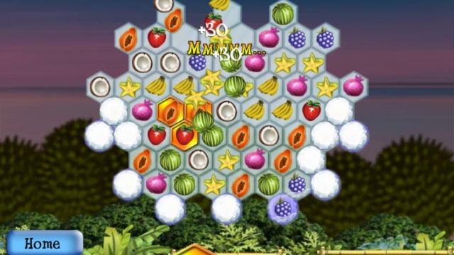 Tropix 8 6