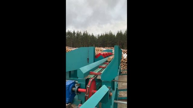 Линия сортировки бревен AXEL RLS 24 Корткерос, Коми