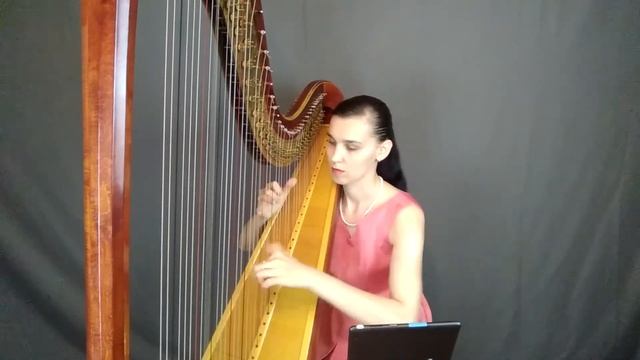 The black hawk waltz (harp version)