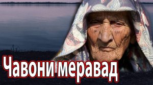 ҶАВОНИ МЕРАВАД  2023