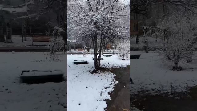 «На осеннем бульваре» ..первый снег