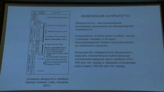 Марков А. В. - Теория эволюции - 13. Фанерозой, кембрийский взрыв
