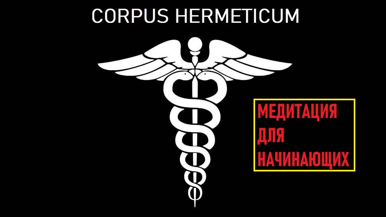 Самая Лучшая Медитация для начинающих от мастеров. HORUS, THOTHMES