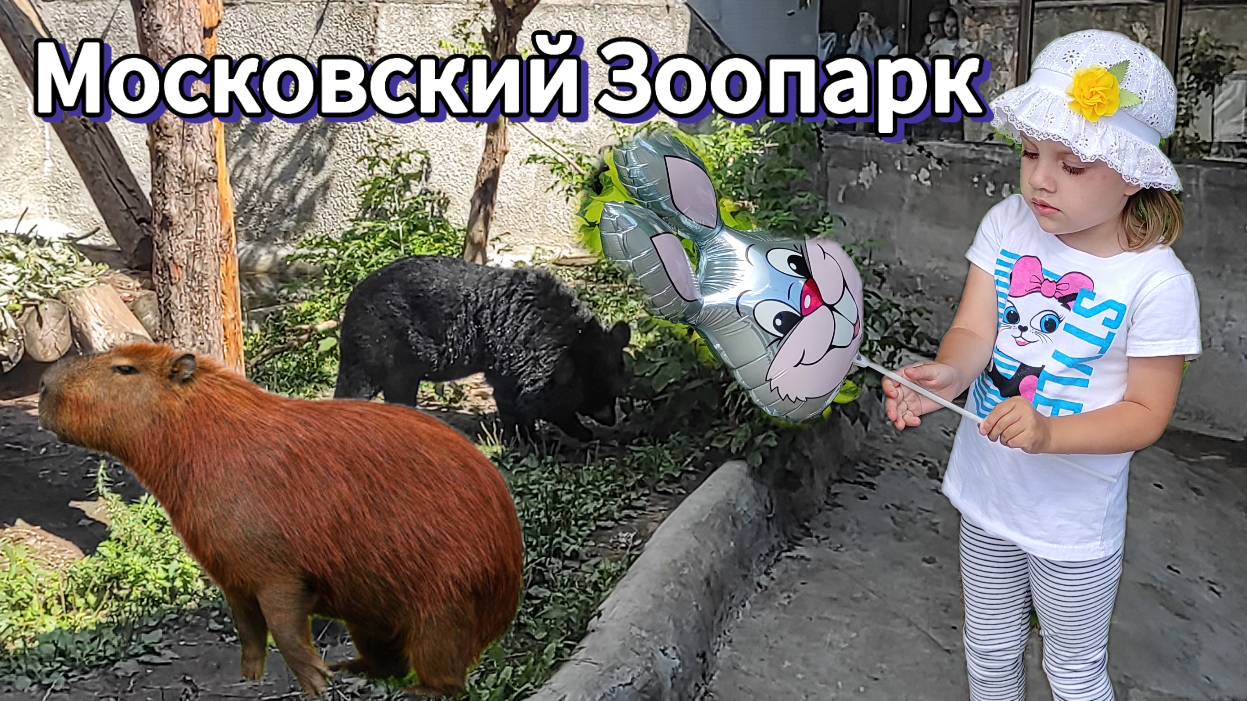 Vlog  Полина в Московском Зоопарке Пришли Смотреть Капибара