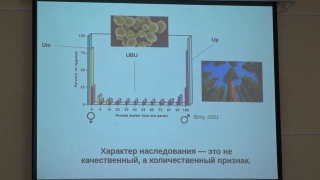 Кнорре Д. А. - Структура и функция митохондрий - 5. Закономерности наследования митохондриальной ДНК