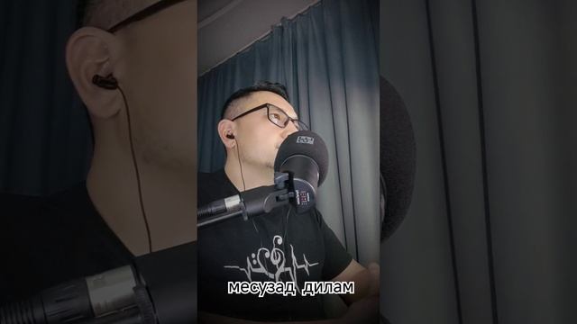Месузад дилам