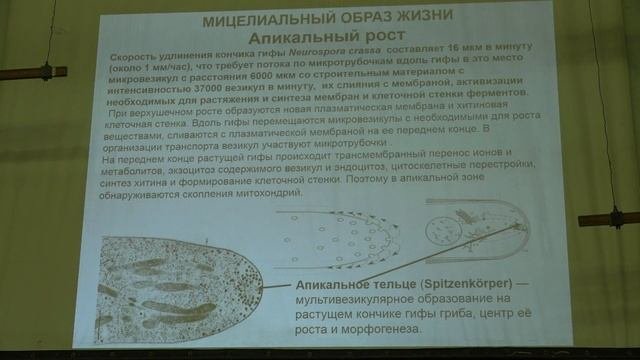 Кураков А. В. - Низшие растения. Микология - 1. Микология - наука о грибах
