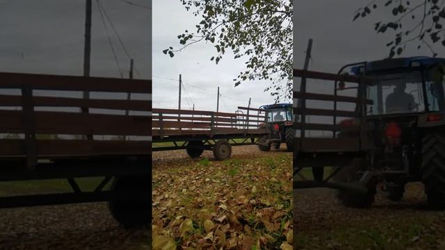 Этот трактор знает, как собирать лучший урожай❤️ #агромаш #agromash #агромаш90ТК #хмель #Чувашия