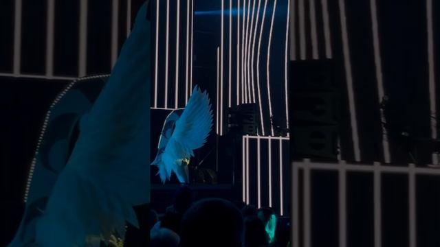 Заказать световое шоу от Русский Hollywood +7916047776