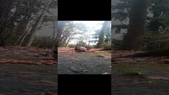1000004292.mp4