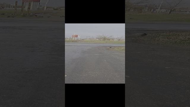 Волгодонск сегодня 22.11.24
#Волгодонск #город