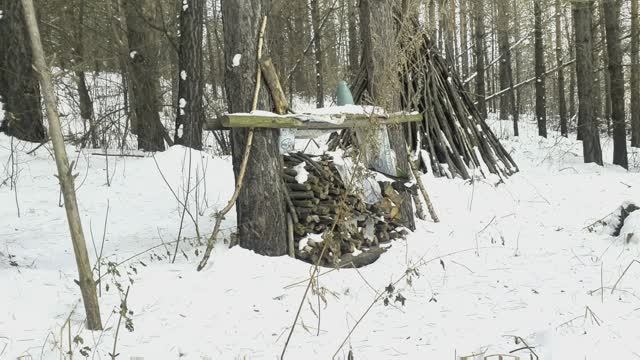 19.11.2024 года, осень, она такая.