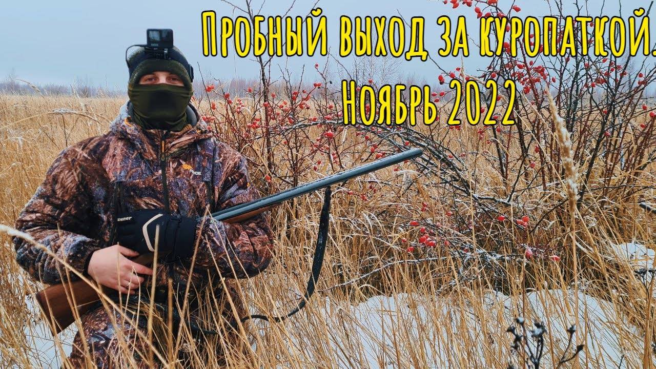 Пробный выход за куропаткой. Ноябрь 2022