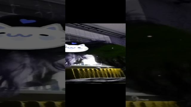 милый прыжок