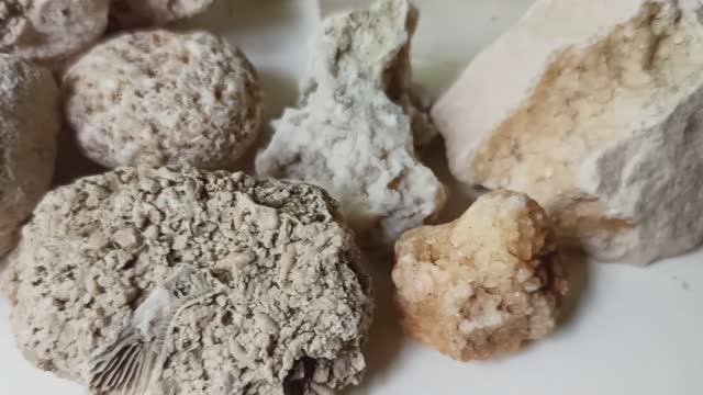 Кристаллы кальцита и окаменелости в известняковом гравии у дороги. Собираем сокровища под ногами