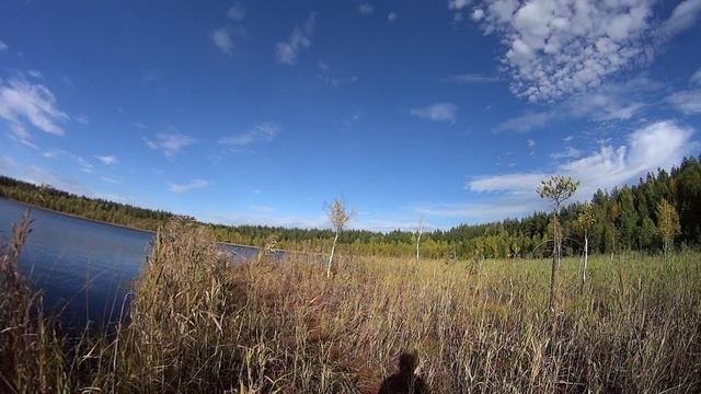2024_09_28 1573_1589 Светлое озеро