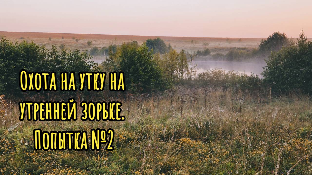 Охота на утку на утренней зорьке. Попытка №2