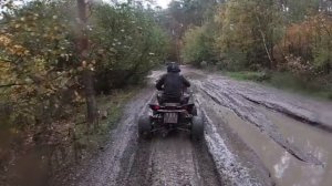 покатушка по лесу на квадрике (2)