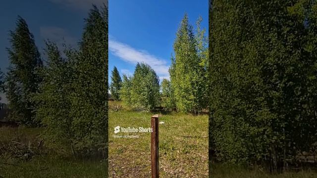 Попадание в гильзу из карабина Лось-145 (lancaster) #shorts #стрелятьнемешкиворочать #стрелок