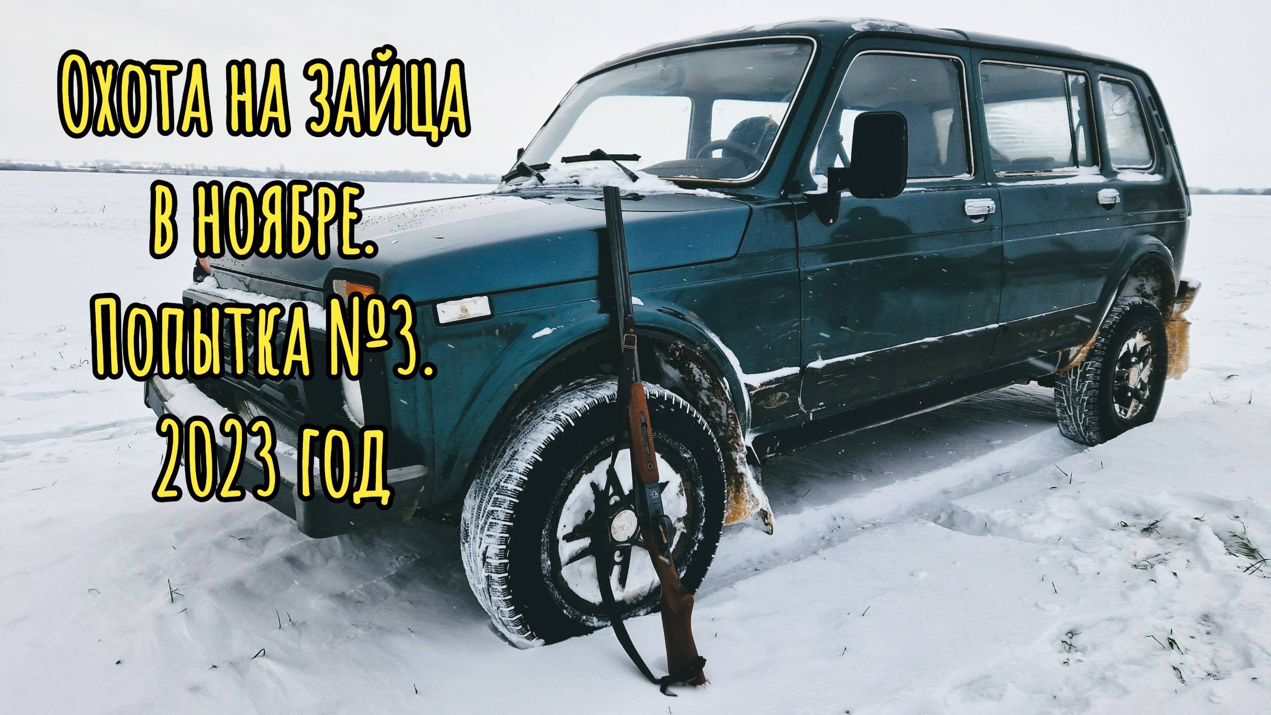 Охота на зайца в ноябре. Попытка №3. 2023 год