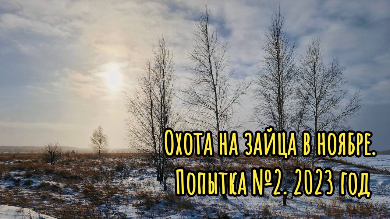 Охота на зайца в ноябре.  Попытка №2.  2023 год.