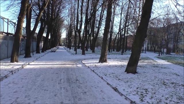 Сад  Сан - Галли. Петербург. 24.11.24.