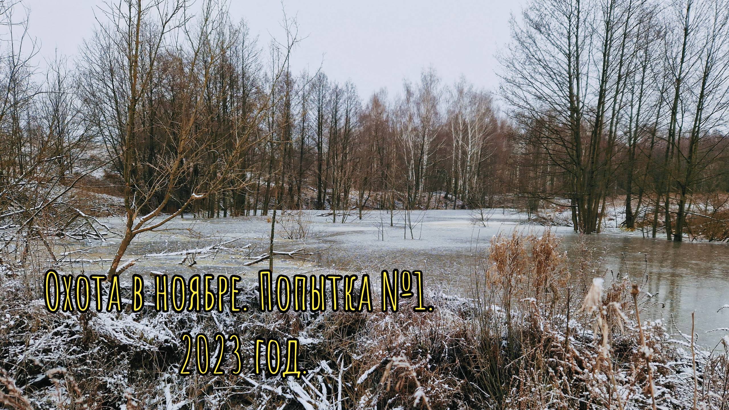 Охота в Ноябре.  Попытка №1.  2023 год.