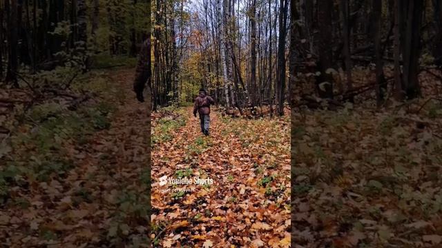 Осенний сплин🏕🔥...#стрелятьнемешкиворочать #стрелок #стрельба #охота #охотник #shorts