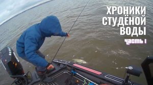 Хроники студёной воды v.1.0.