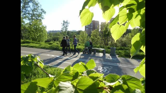 Цветы и листья вдоль Яузы