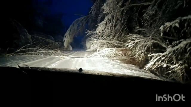 Брянские джунгли .23.11 24. Трасса 15к-604  за Ивотом на 17 км.