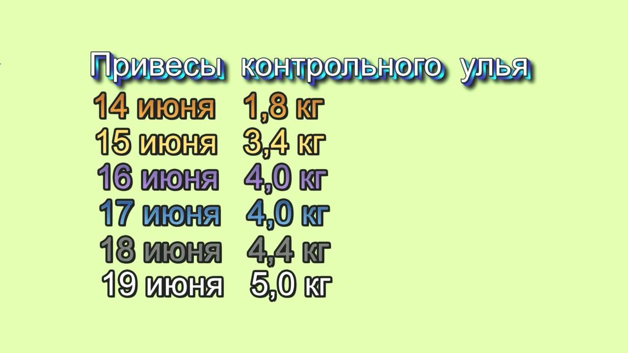 Вот и наступила пора главного медосбора