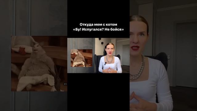 Откуда мем Бу! Испугался? #откудамем #буиспугался