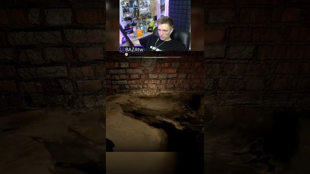 Самая Обычная ЖАБА в Чернобыле #STALKER2