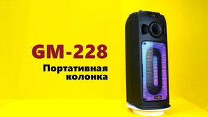 Обзор Портативной Midi-системы Ginzzu GM-228