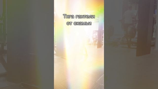 Комплекс упражнений на спину