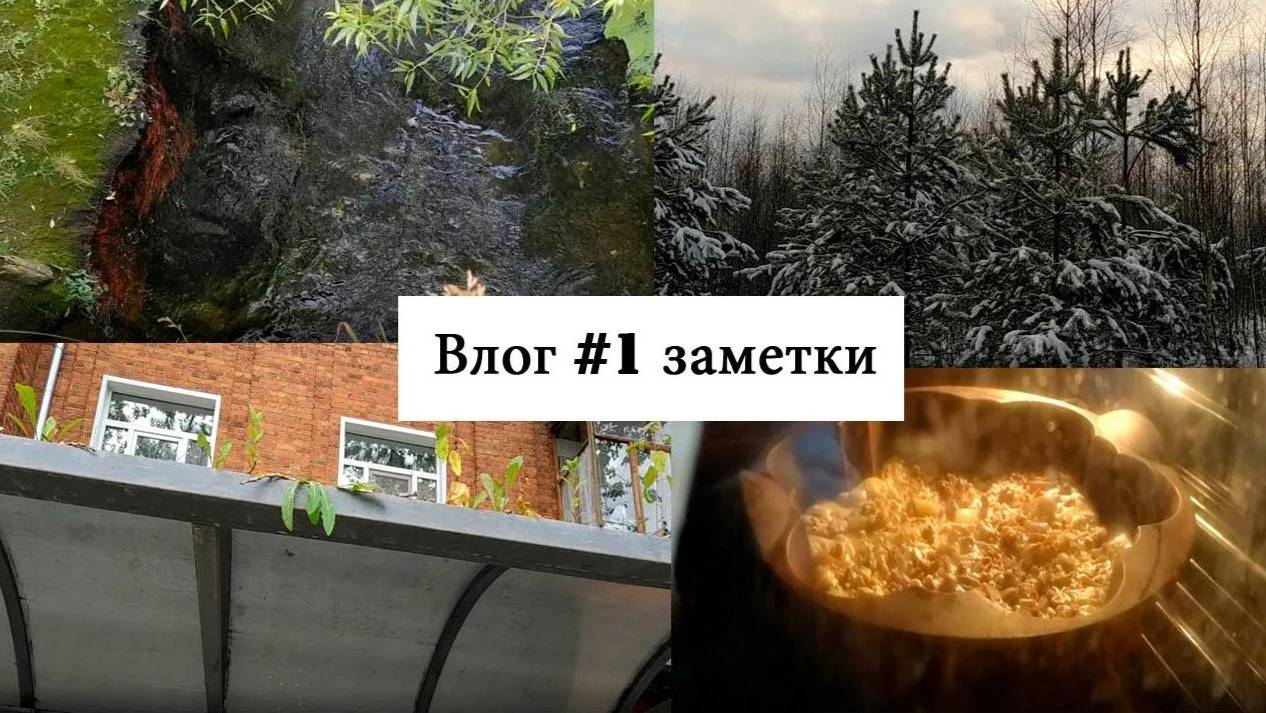 VLOG #1 | заметки | Svetlana Bujo