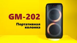 Обзор Midi-системы Ginzzu GM-202