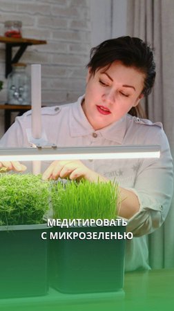 Выращивание как настоящий дзен #shorts