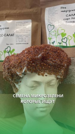 Создали семена в новой граммовке #shorts