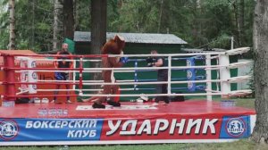 Организация боксерского шоу под ключ в Москве