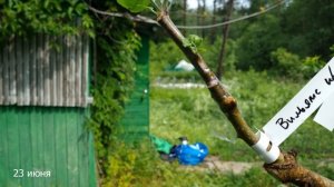 В расщеп
