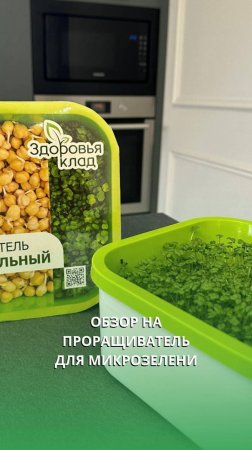 Посмотрите как сейчас выращивают микрозелень дома #shorts