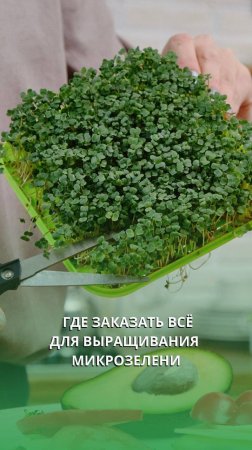 Всё для домашней микрозелени у нас #shorts