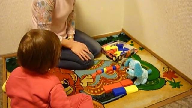 ОНР. Дизартрия. Коррекция ОНР и дизартрии в речи Лизы. Видео занятия № 2