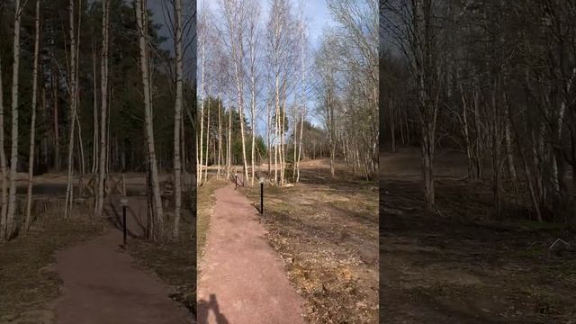 Парковая зона в коттеджном посёлке Сосновские горки. Середина маршрута.