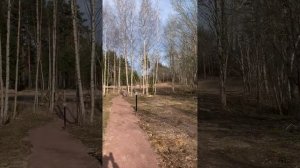 Парковая зона в коттеджном посёлке Сосновские горки. Середина маршрута.