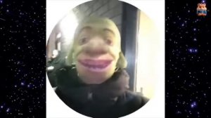 Смешные видео