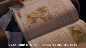 Противопожарные ролики - 3