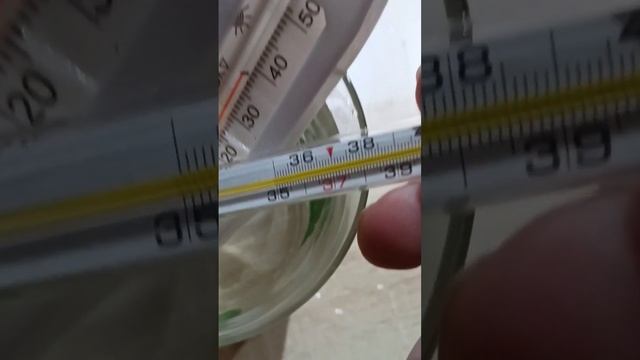 Ртутный термометр работает медленно? Миф!!!